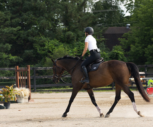Horse Conditioning Tips: Fueling with Proper Nutrition