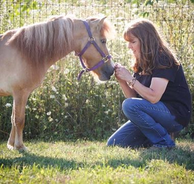 Feeding Miniature Horses: A Complete Nutrition Guide | Tribute®