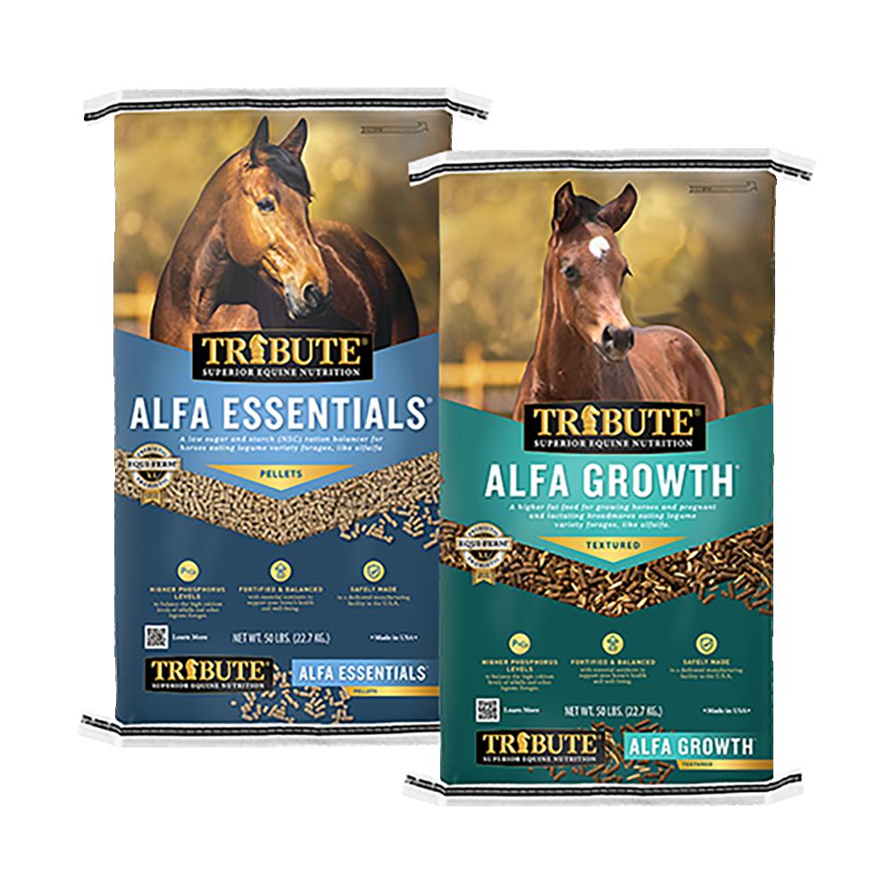 Premium Horse Feeds & Supplements – Tribute Equine Nutrition