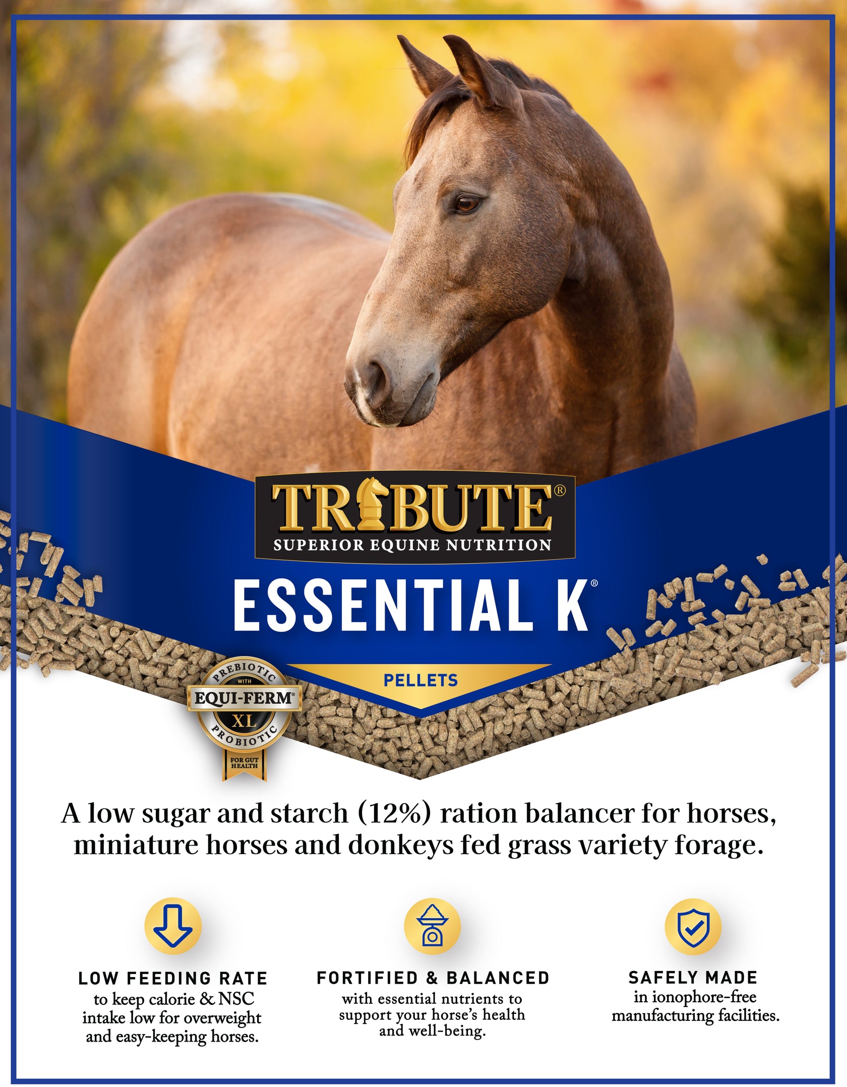 Essential K® Low-NSC Horse Ration Balancer | Tribute®
