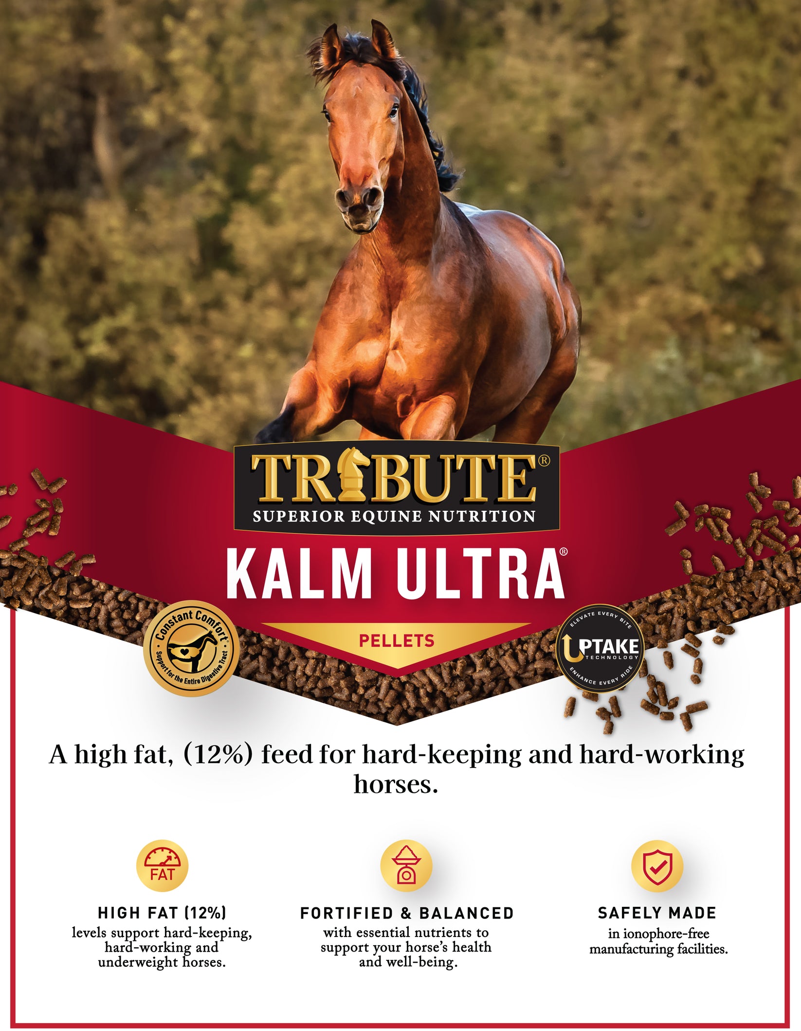 Kalm Ultra® High Fat Horse Feed