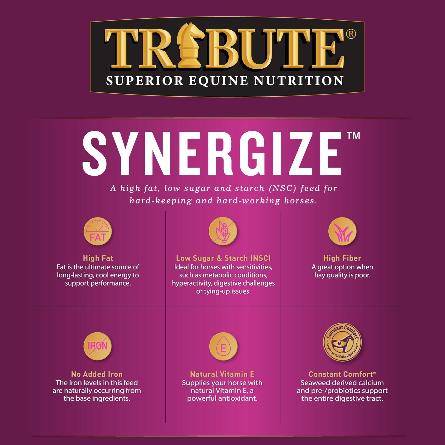 Synergize™ Low NSC, High Fat Horse Feed
