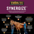 Low NSC, High-Fat Pelleted Horse Feed: Synergize®
