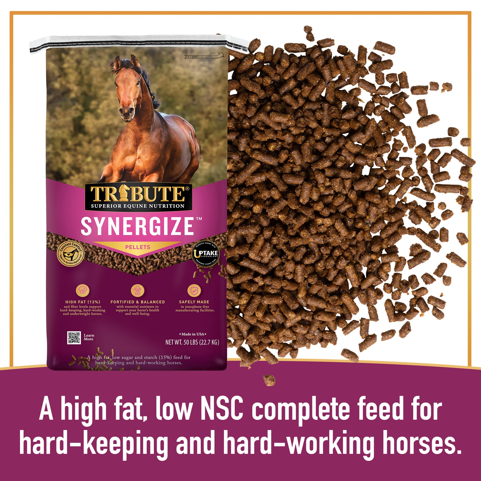 Low NSC, High-Fat Pelleted Horse Feed: Synergize®