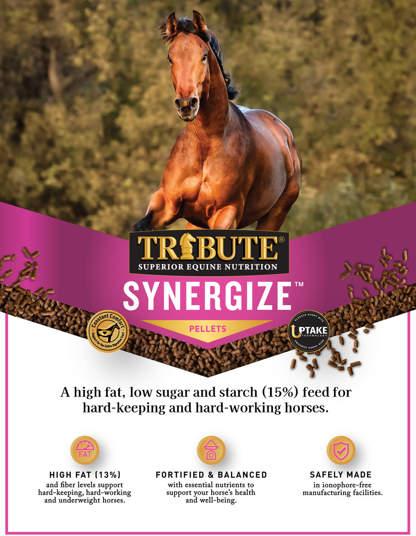 Low NSC, High-Fat Pelleted Horse Feed: Synergize®