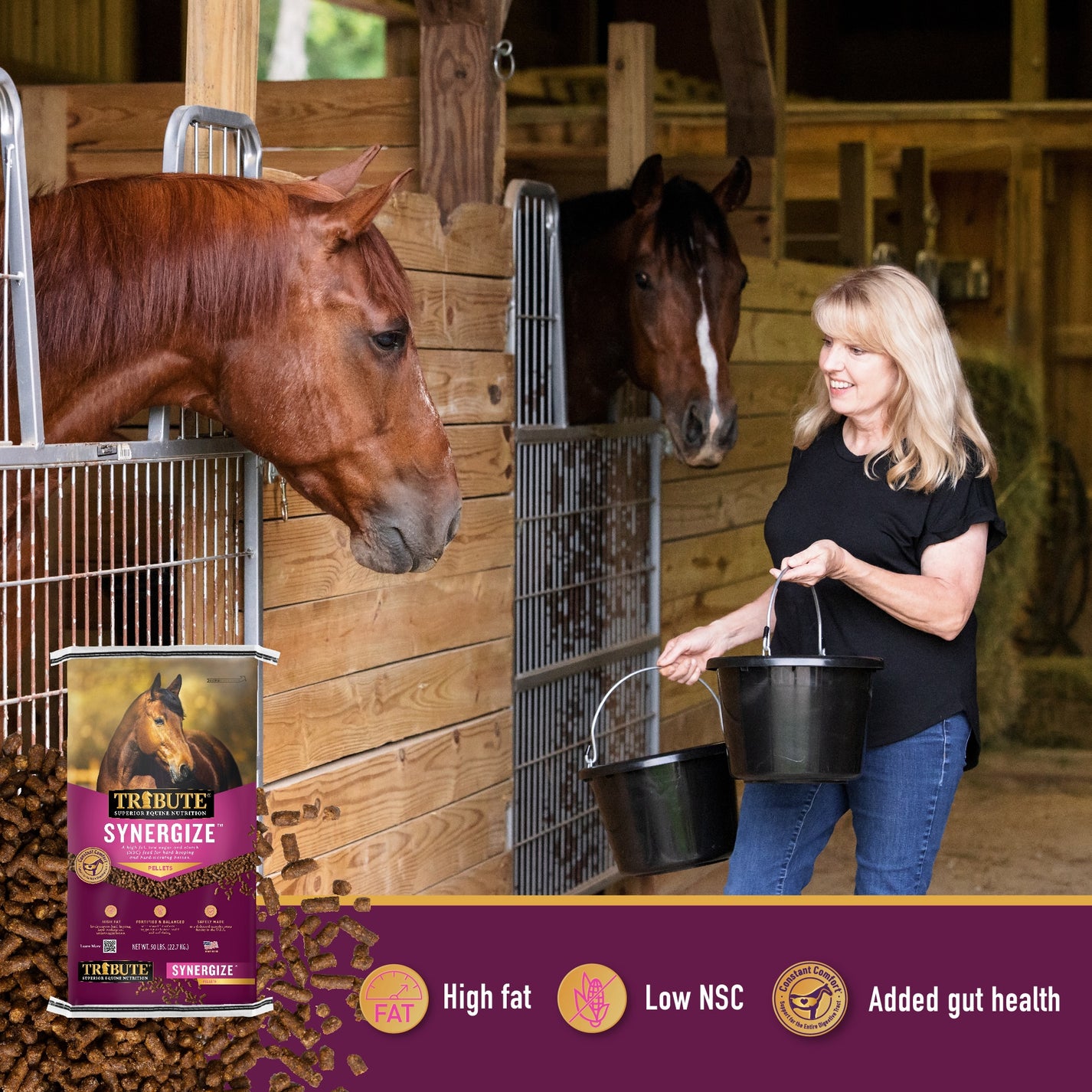Synergize™ Low NSC, High Fat Horse Feed