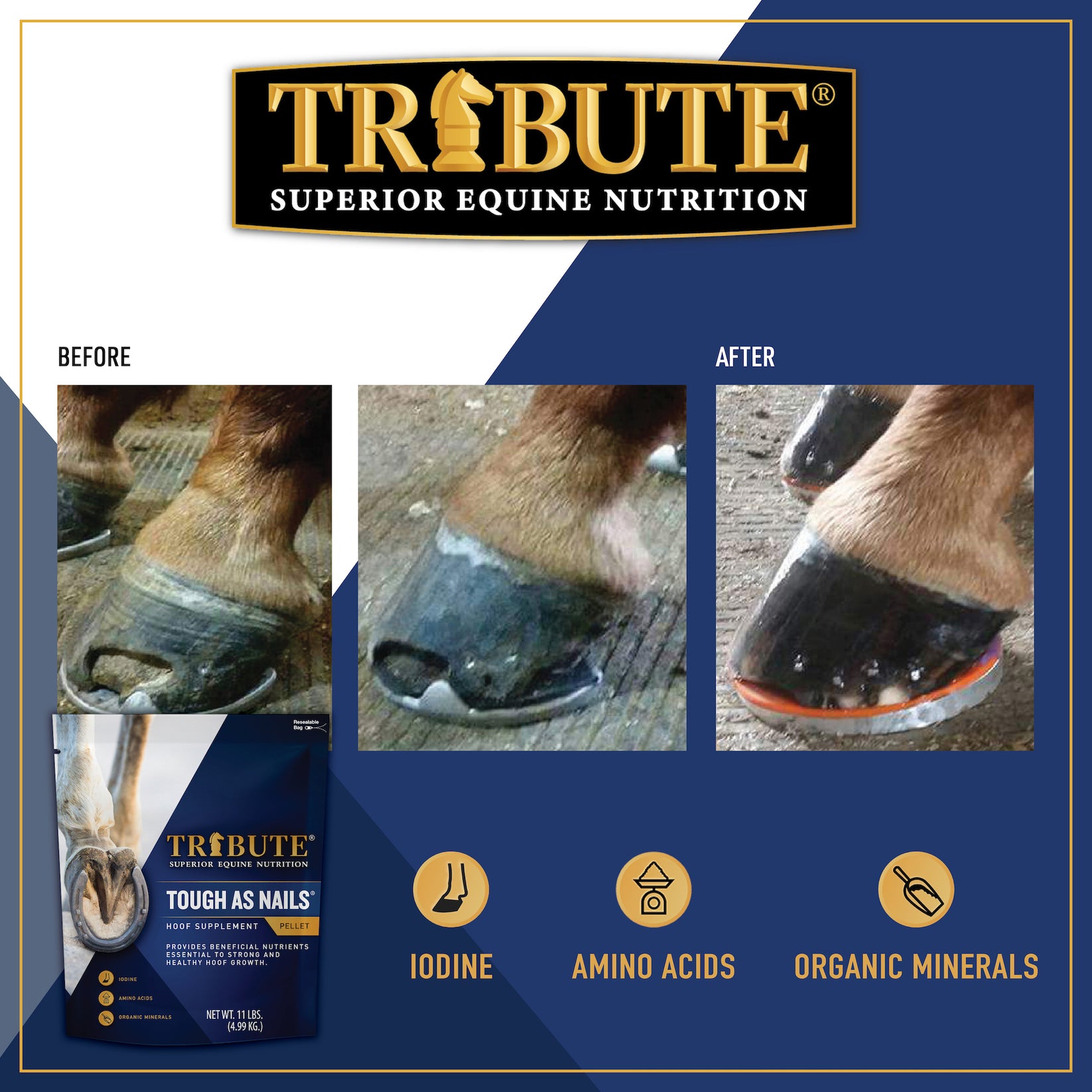 Tough As Nails - Pelleted Hoof Supplement for Horses