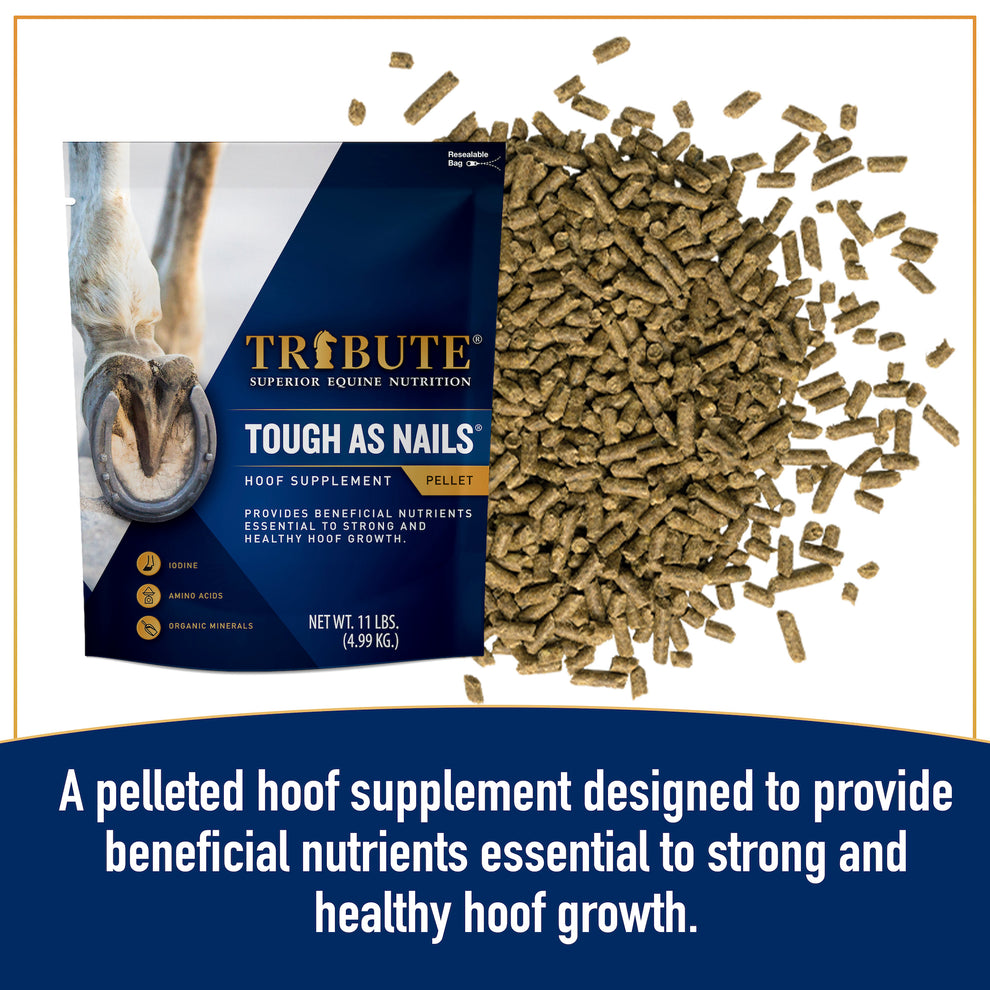 Tough As Nails - Pelleted Hoof Supplement for Horses