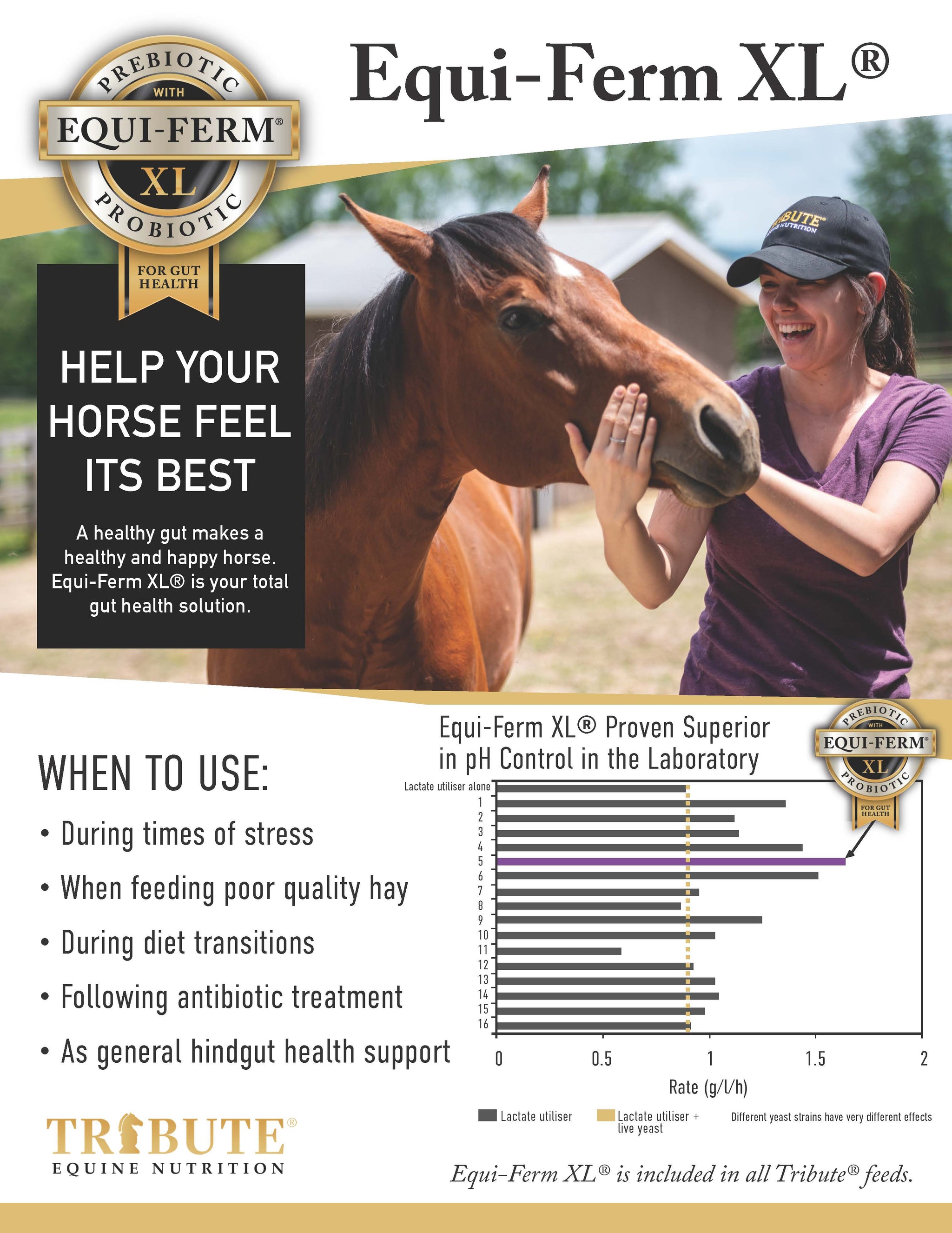 Equi-Ferm XL®, Prebiotic & Probiotic Supplement for Horses