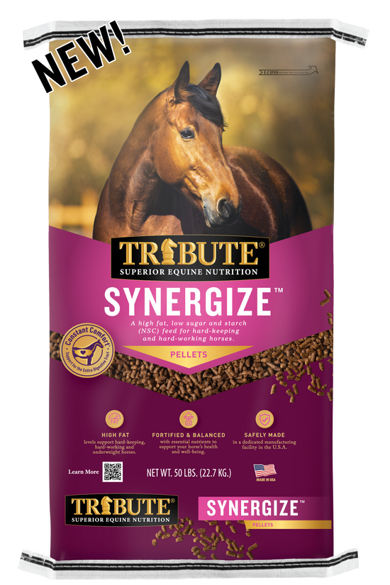 Synergize™ Low NSC, High Fat Horse Feed – Tribute Equine Nutrition