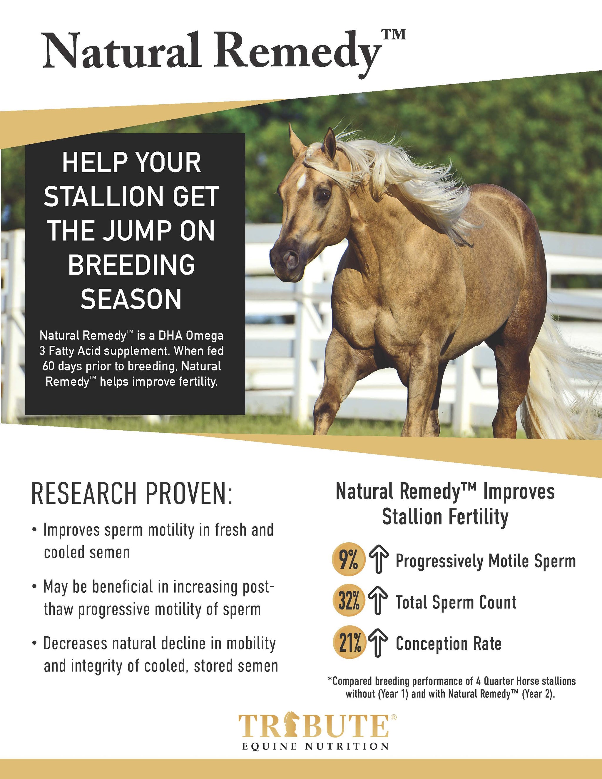Natural Remedy® Anti-Inflammatory Supplement For Horses