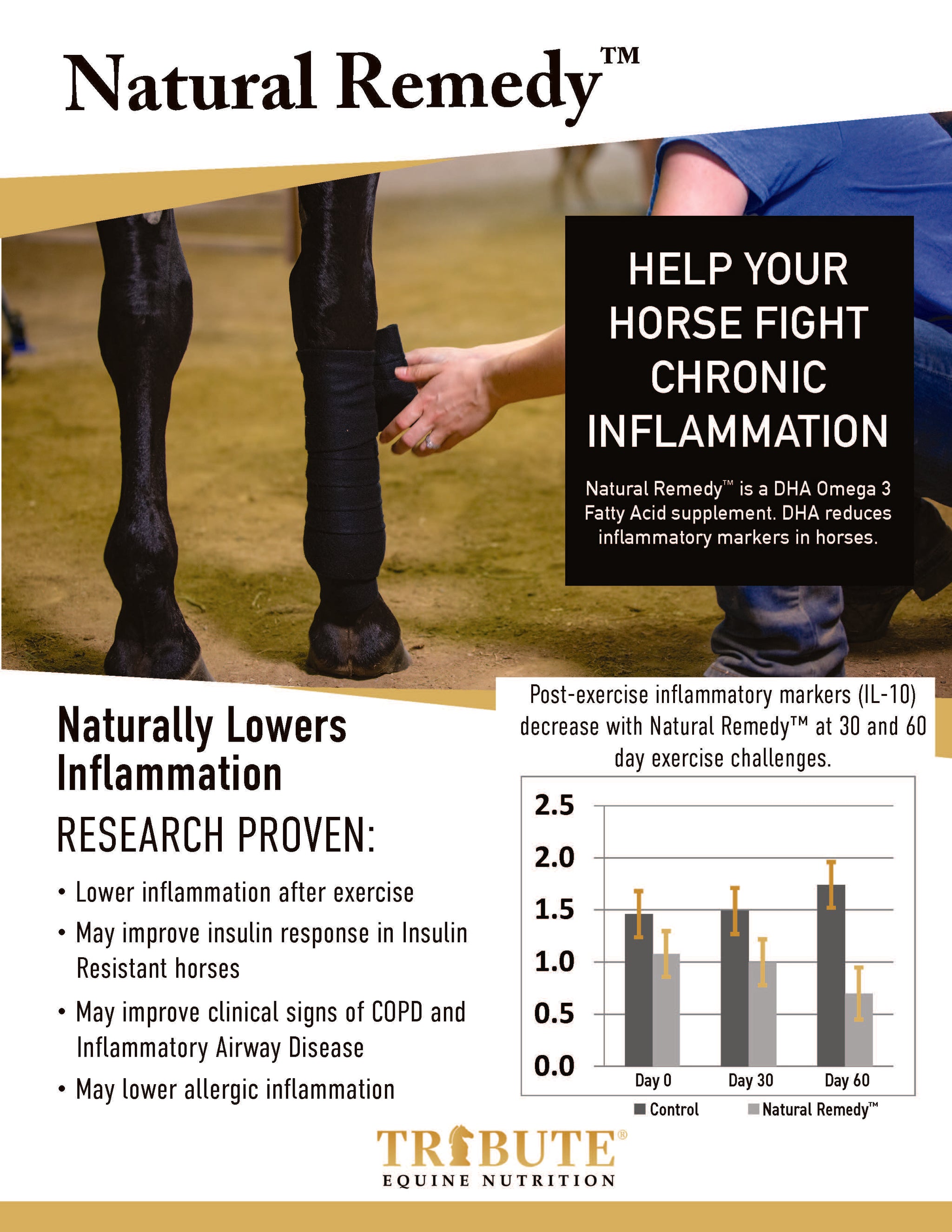 Natural Remedy® Anti-Inflammatory Supplement For Horses