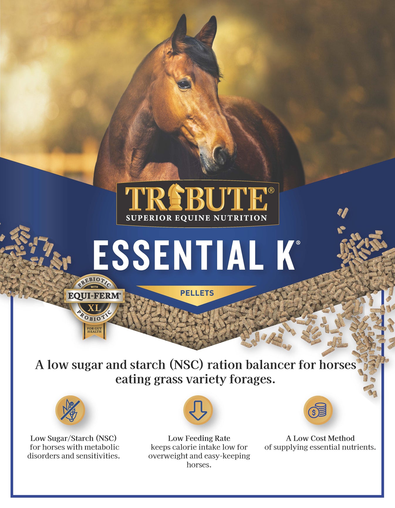 Essential K® Low-NSC Horse Ration Balancer | Tribute®