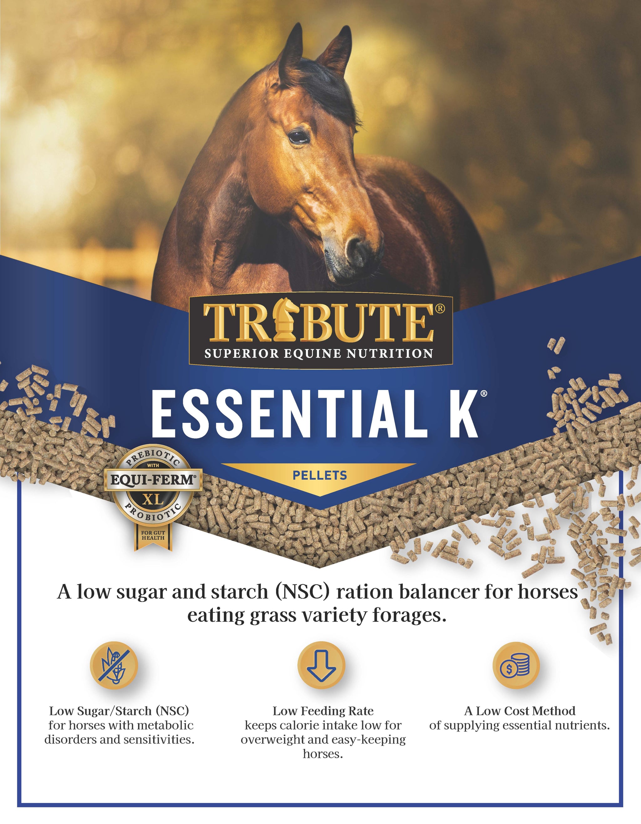 Essential K® Low-NSC Horse Ration Balancer | Tribute®