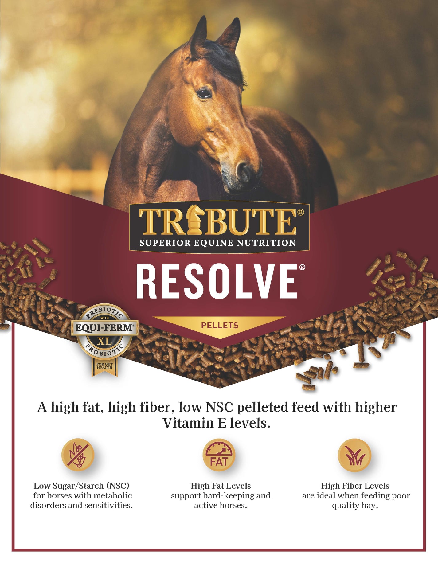 Resolve® Horse Feed