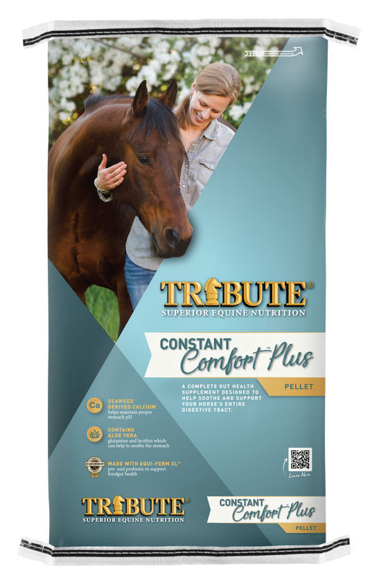 Constant Comfort® Plus Supplement: Total Gut Health for Horses