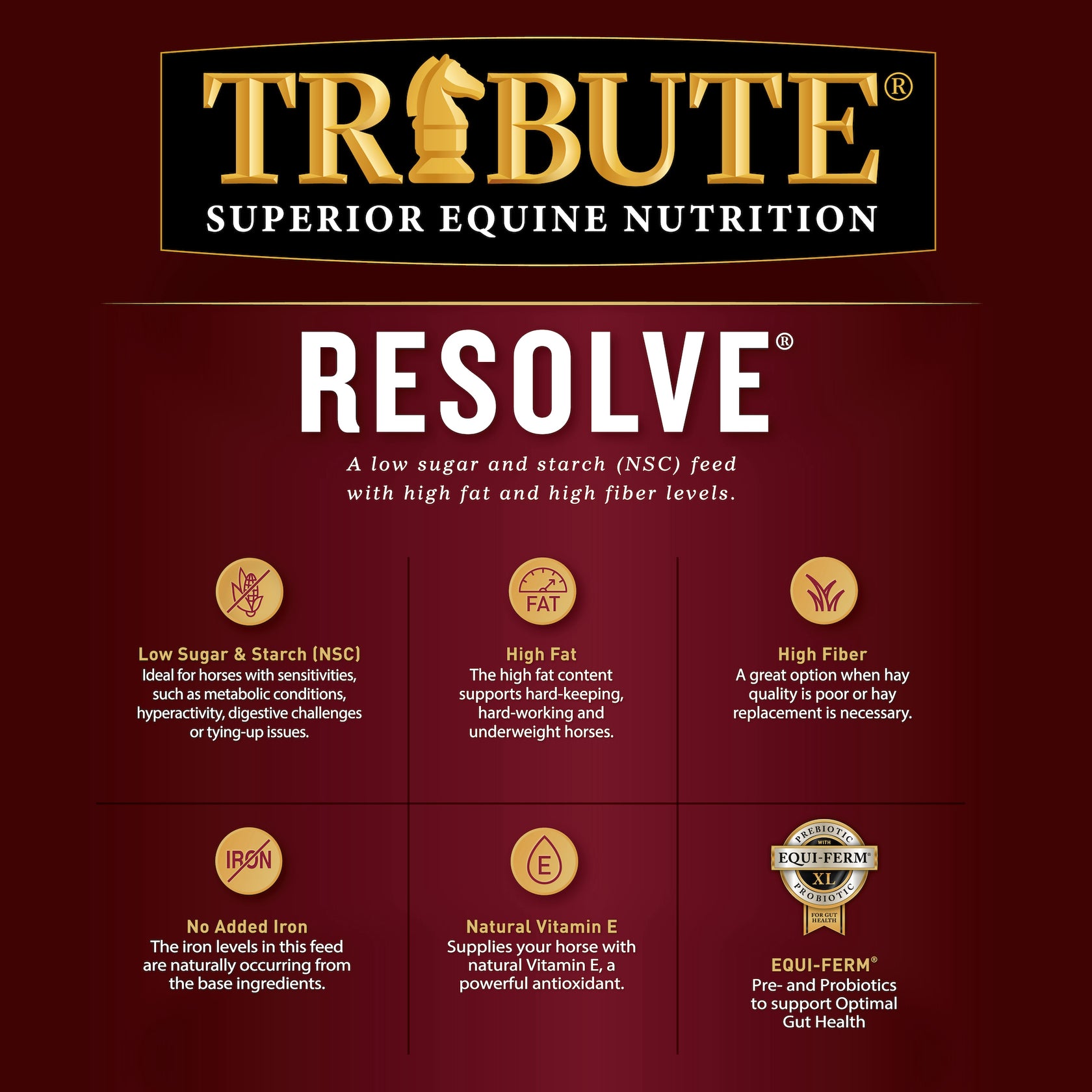 Resolve® Horse Feed