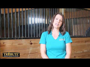 Constant Comfort® Plus Supplement: Total Gut Health for Horses